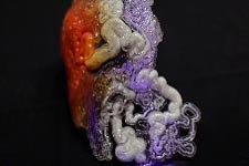 Neri Oxman's 3D Printed Photosynthetic Wearables at TED2015