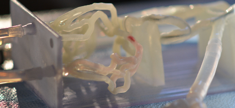 Creating Biomechanically Accurate Vascular Models